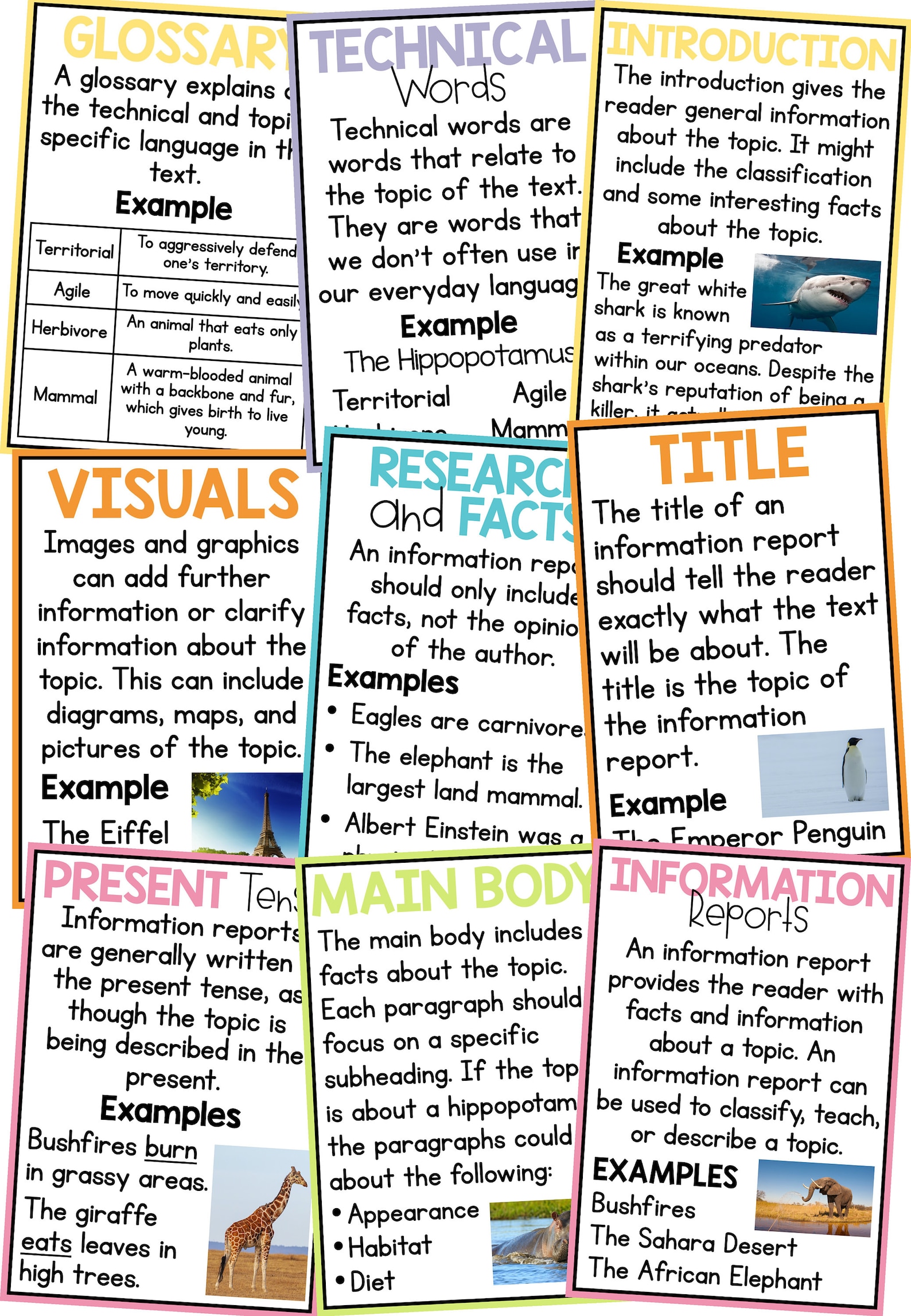 Information Text Posters Classroom Decor - Etsy