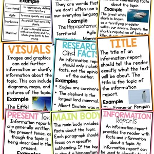 Information Text Posters Classroom Decor - Etsy