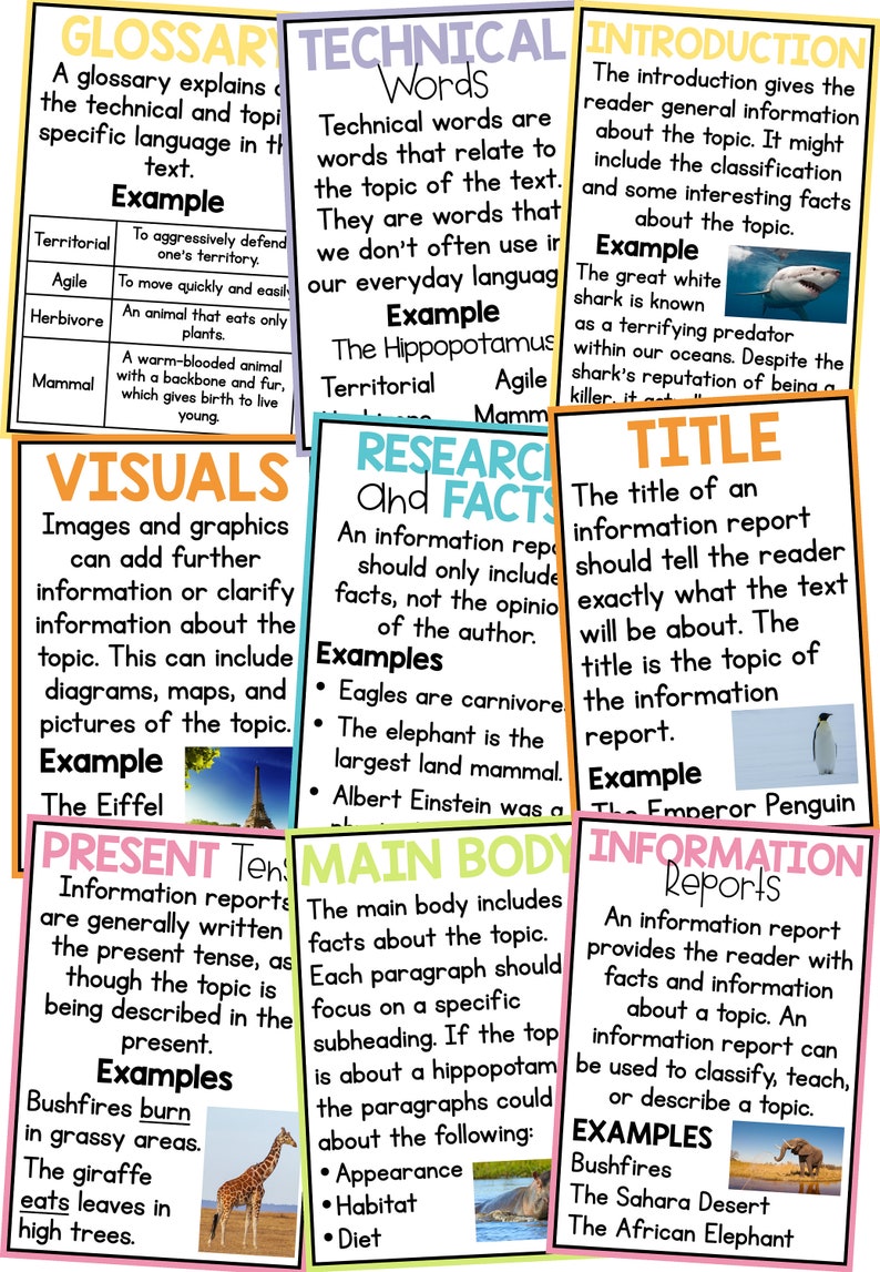 Information Text Posters Classroom Decor - Etsy
