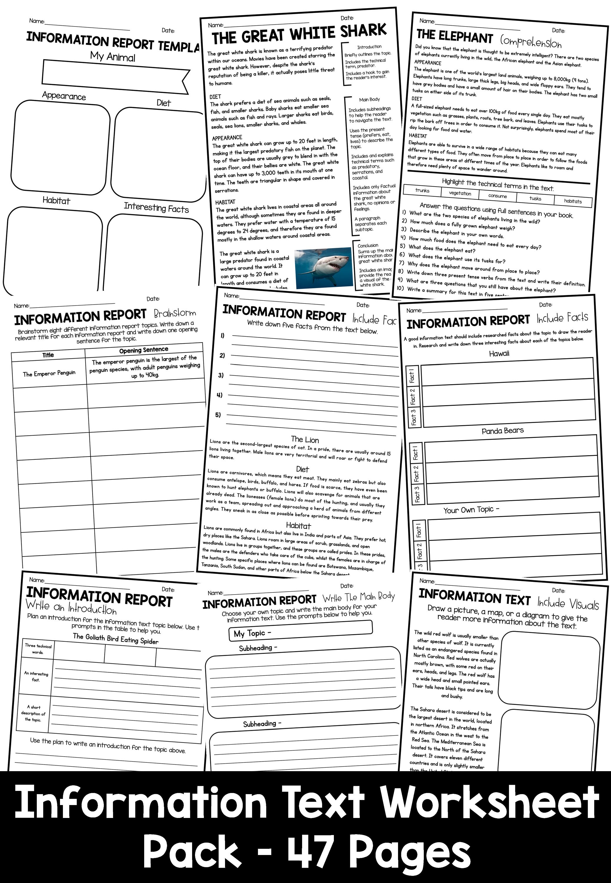 Information Text - Reading and Writing Bundle - Etsy