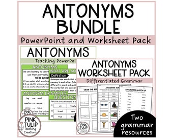 Homophones Bundle - Worksheet Pack and Guided Teaching Powerpoint - Etsy