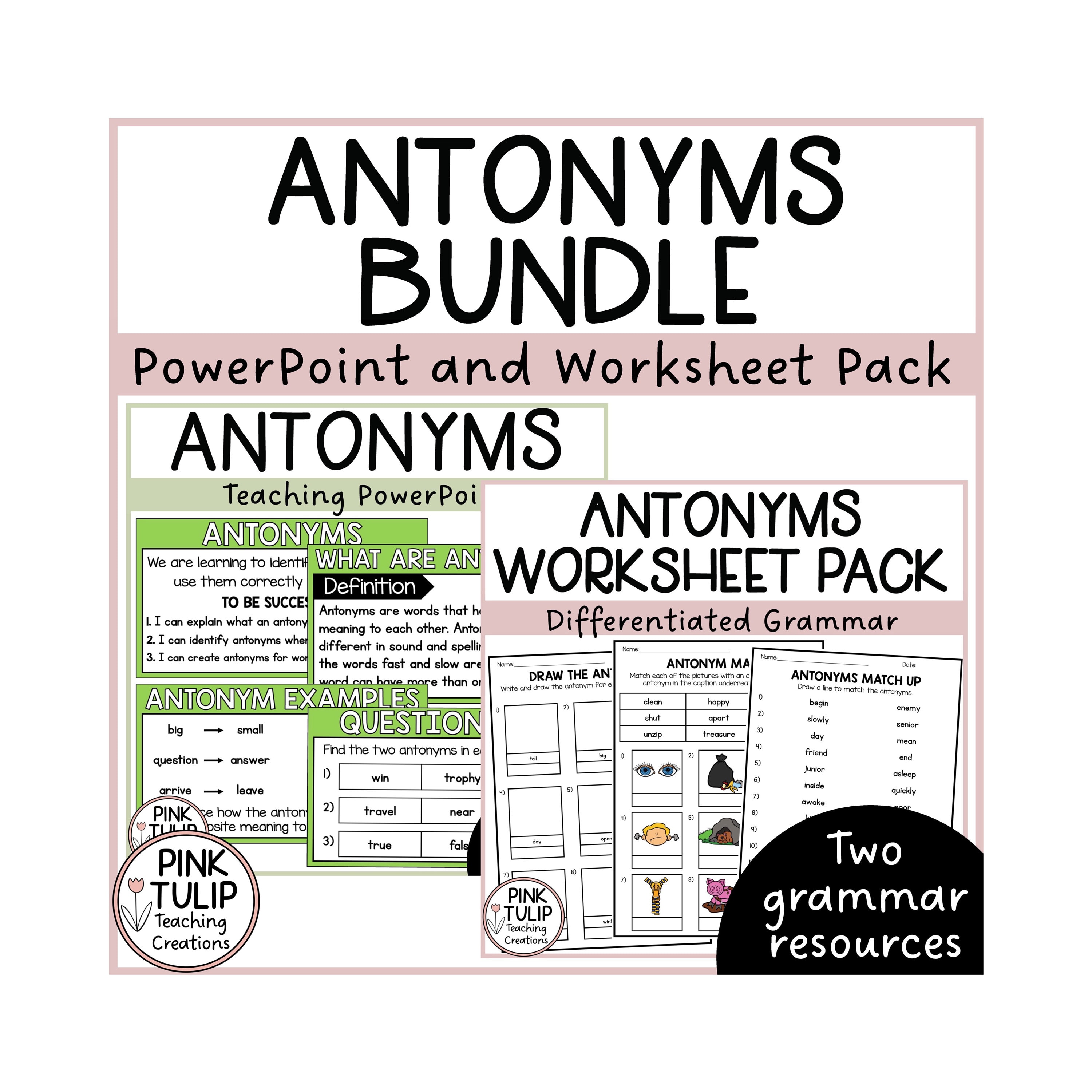 Antonyms Bundle - Worksheet Pack and Guided Teaching Powerpoint - Etsy
