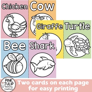 Animal Flash Cards Pastel Rainbow Theme - Etsy