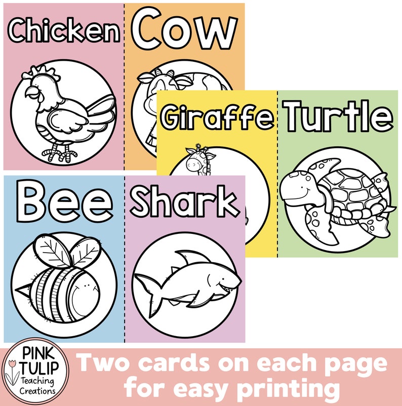 Animal Flash Cards Pastel Rainbow Theme - Etsy