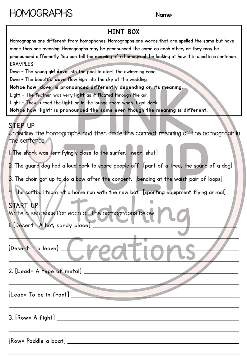 Homophones and Homographs - Grammar Worksheets With Answers - Etsy