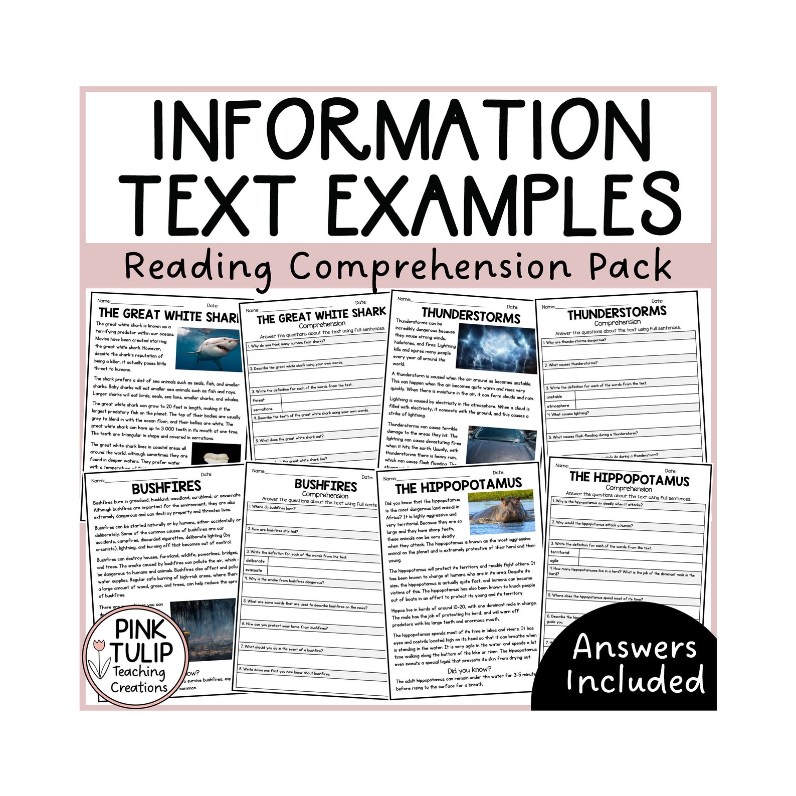 Information Text Examples - Ten Reading Samples With Comprehension - Etsy