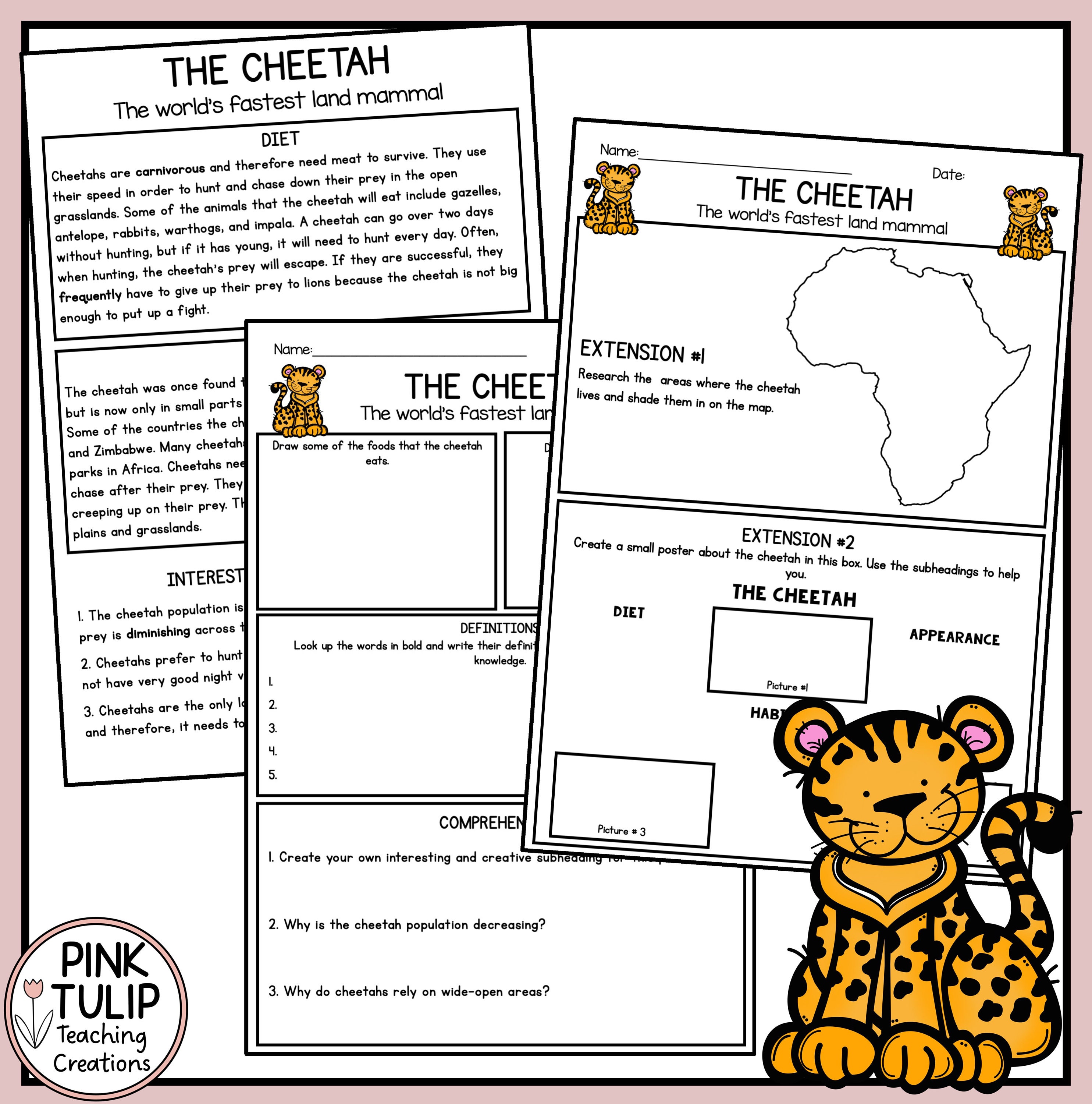 African Animals - Reading Comprehension Pack - Etsy