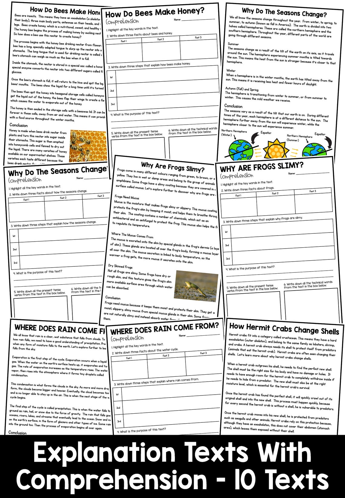 Explanation Text - Reading and Writing Bundle - Etsy