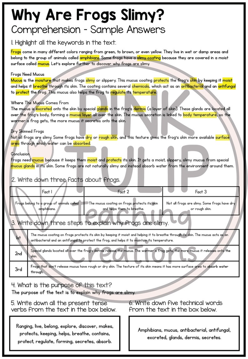 Explanation Text - Why Are Frogs Slimy? - Etsy