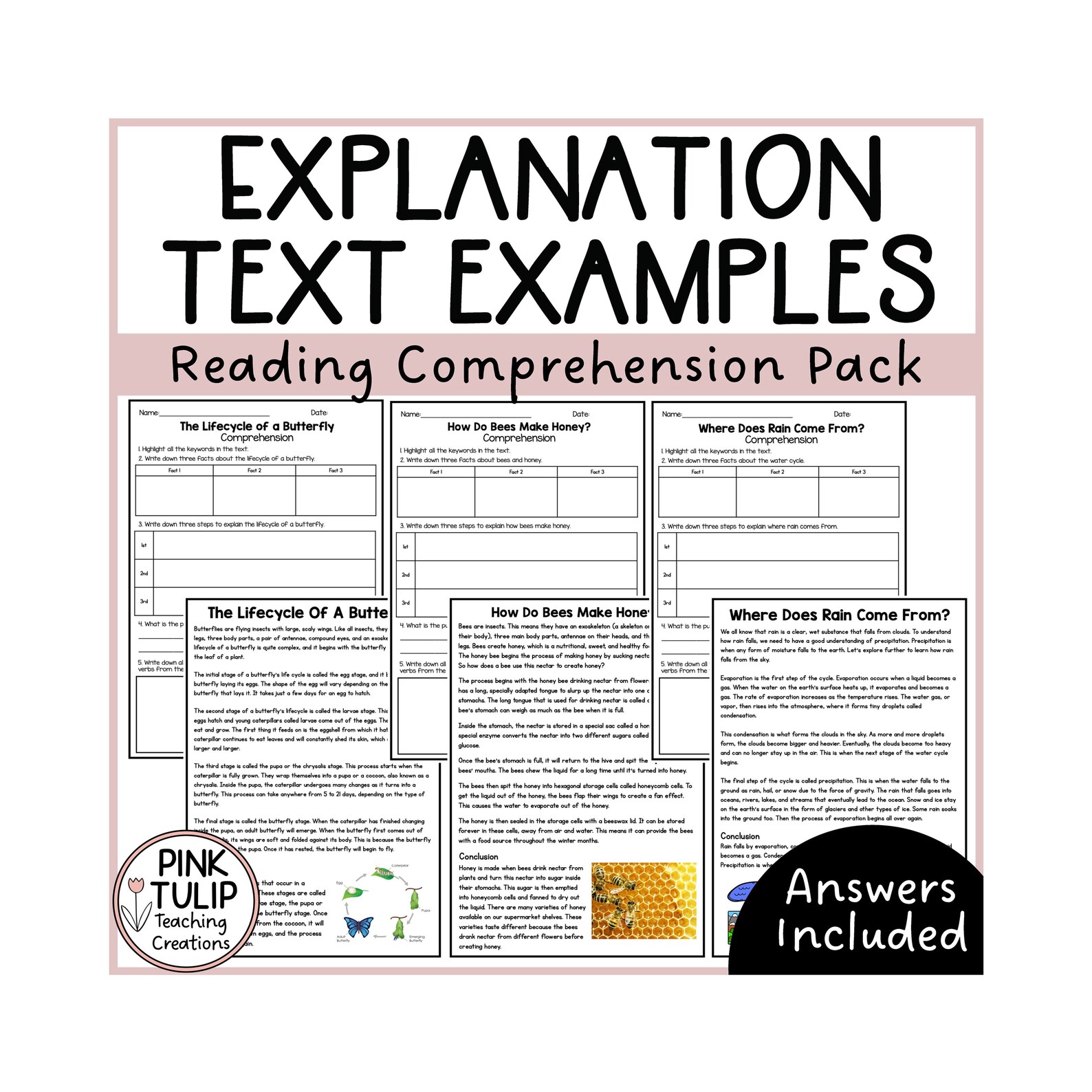 Explanation Text Examples - Ten Reading Samples With Comprehension - Etsy