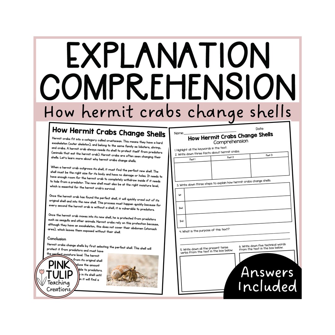 Explanation Text - How Hermit Crabs Change Shells - Etsy