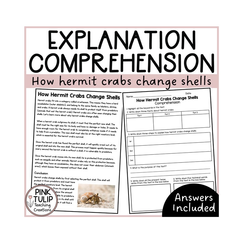Explanation Text - How Hermit Crabs Change Shells - Etsy