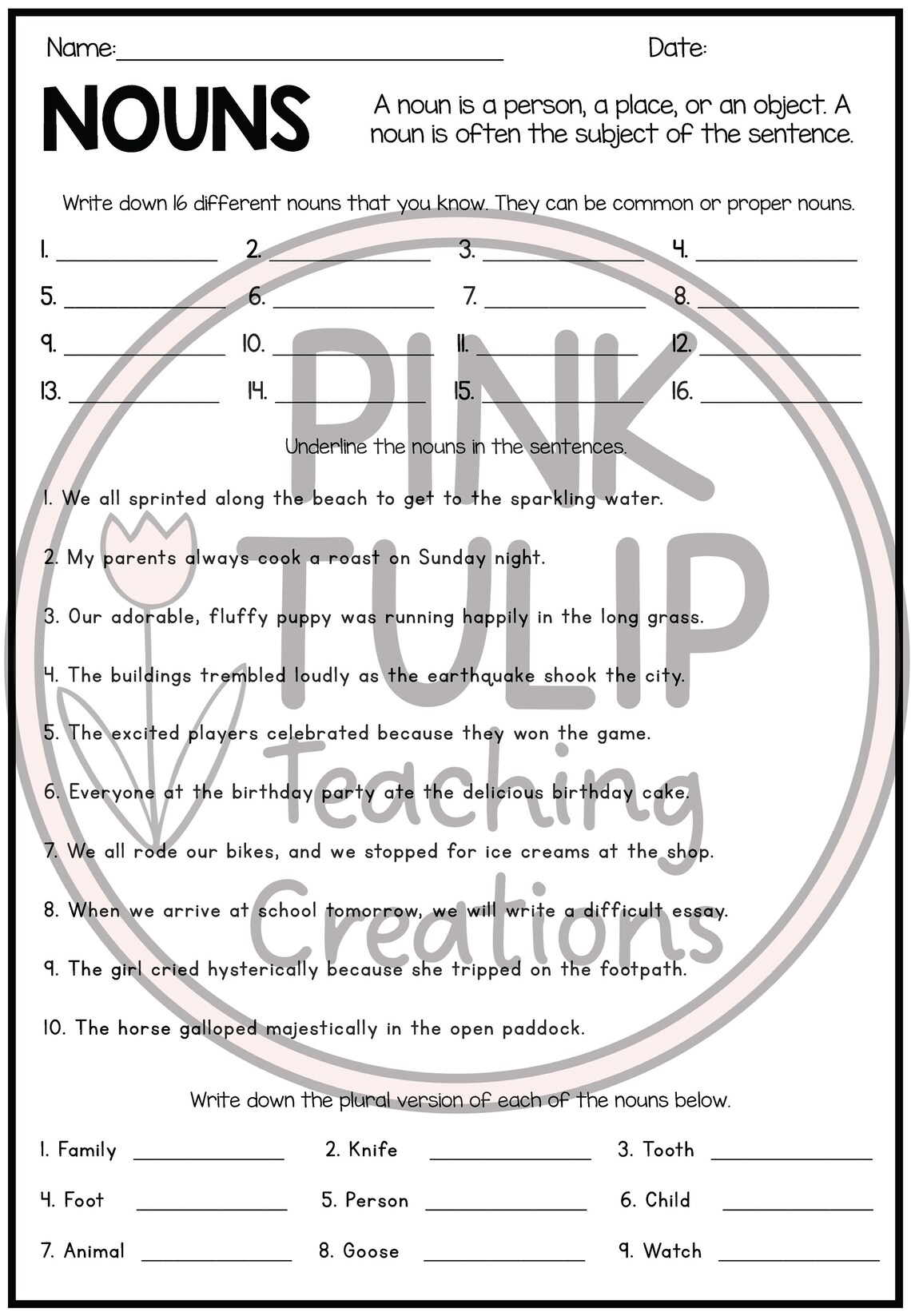 Understanding Nouns Worksheets - No Prep Printables - Etsy