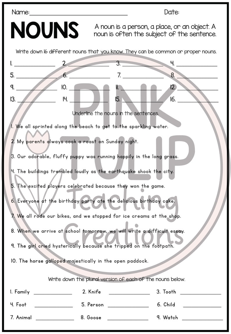 Understanding Nouns Worksheets - No Prep Printables - Etsy