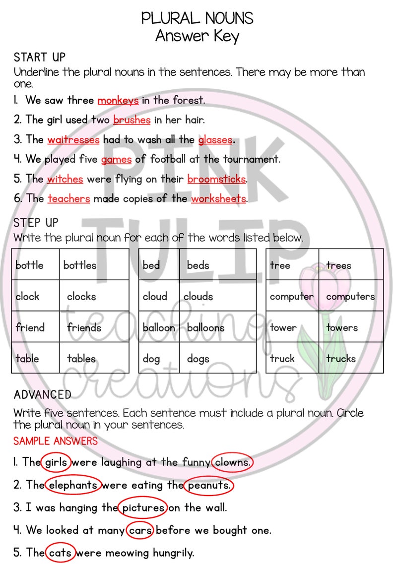 Common Nouns and Plural Nouns Grammar Worksheets With - Etsy Australia
