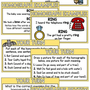 Homographs Grammar Powerpoint - Guided Teaching - Etsy