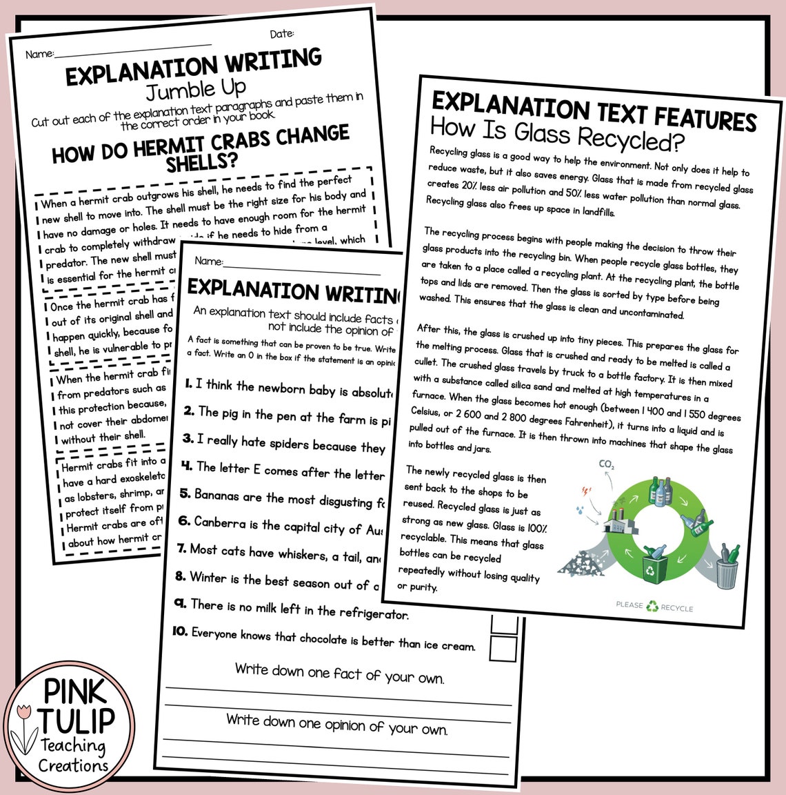 Explanation Text Writing Worksheet Pack - No Prep Lesson Ideas - Etsy