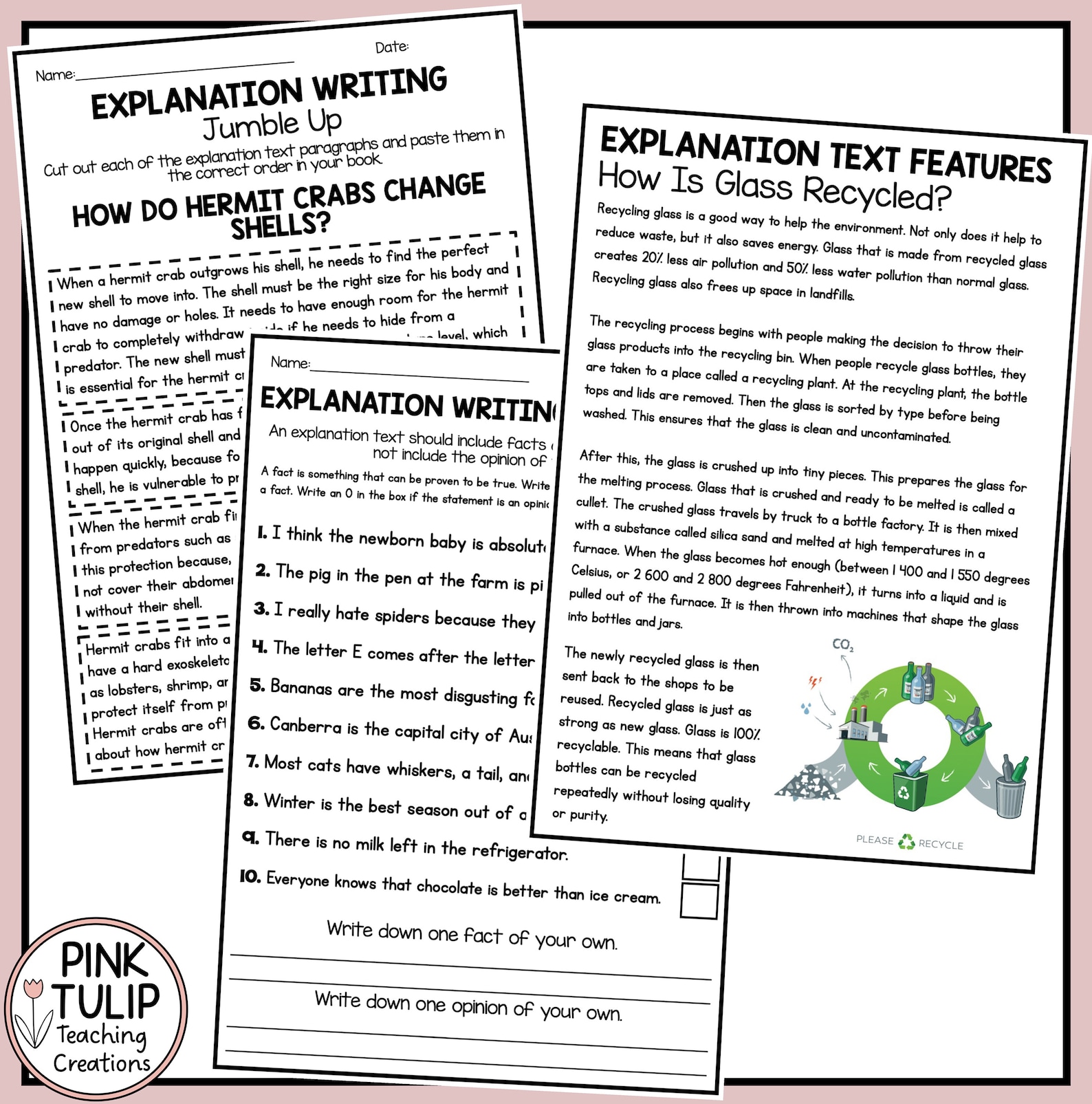 Explanation Text Writing Worksheet Pack - No Prep Lesson Ideas - Etsy