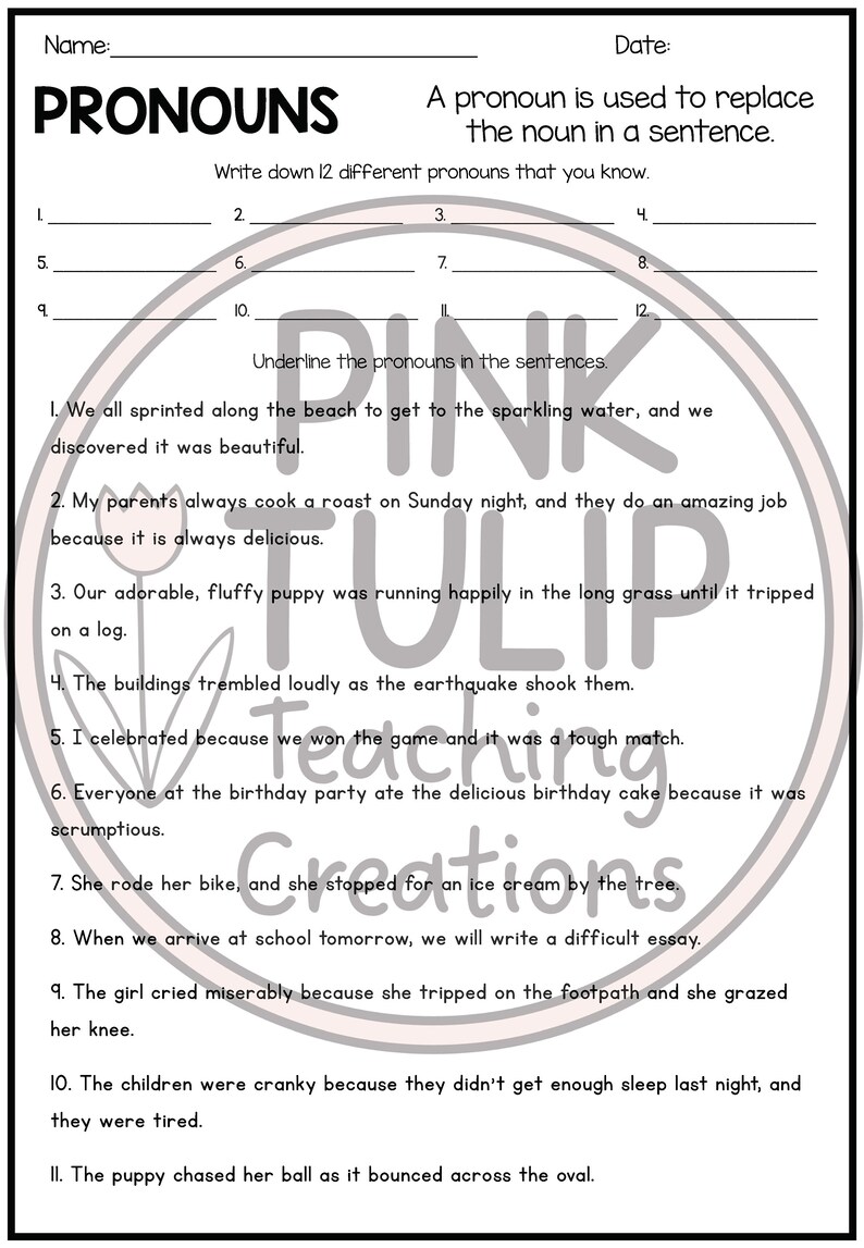 Understanding Pronouns Worksheets - No Prep Printables - Etsy