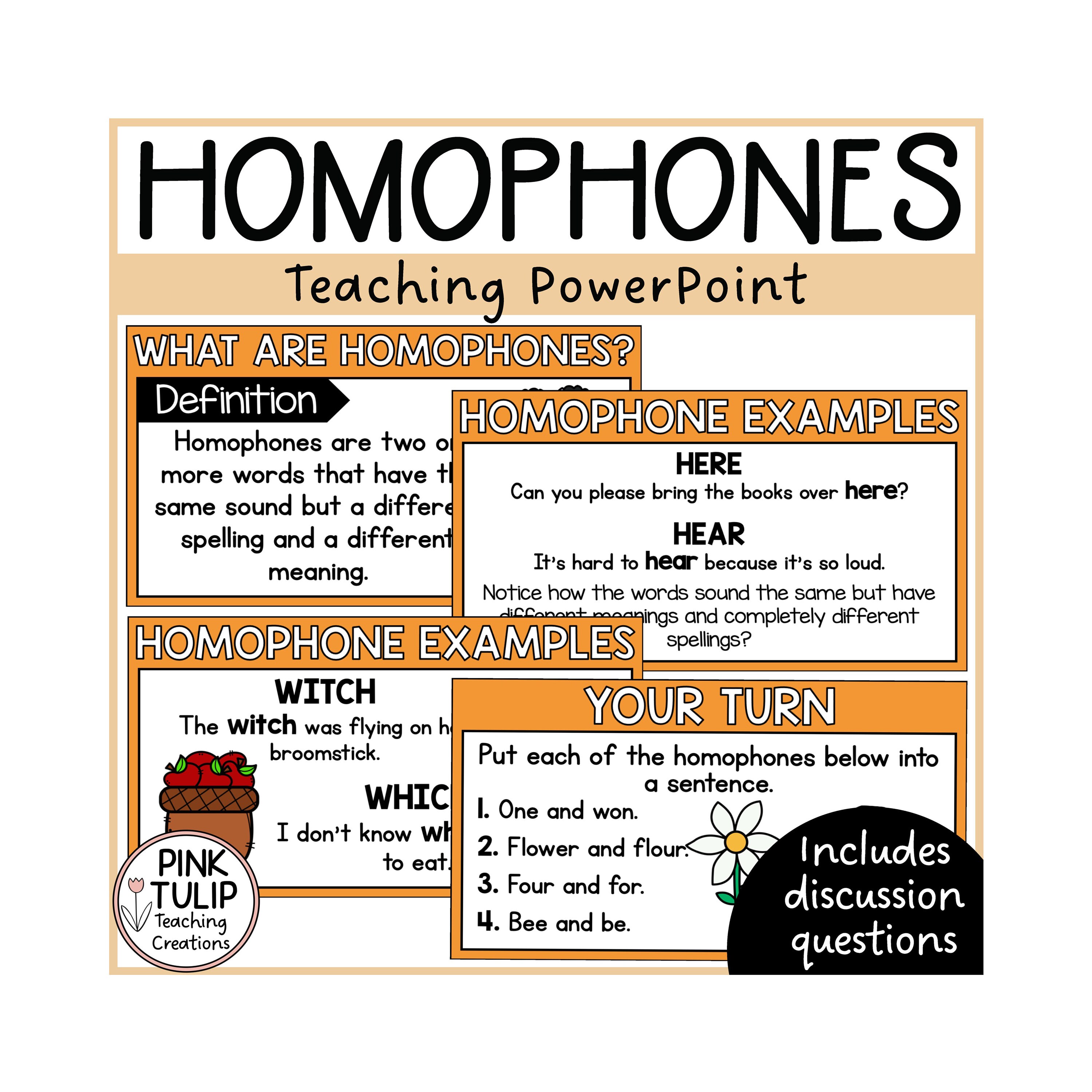 Homophones Powerpoint - Guided Teaching - Etsy