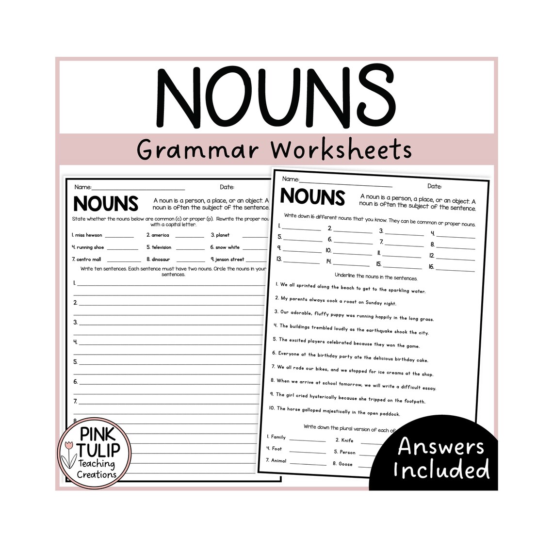 Understanding Nouns Worksheets - No Prep Printables - Etsy