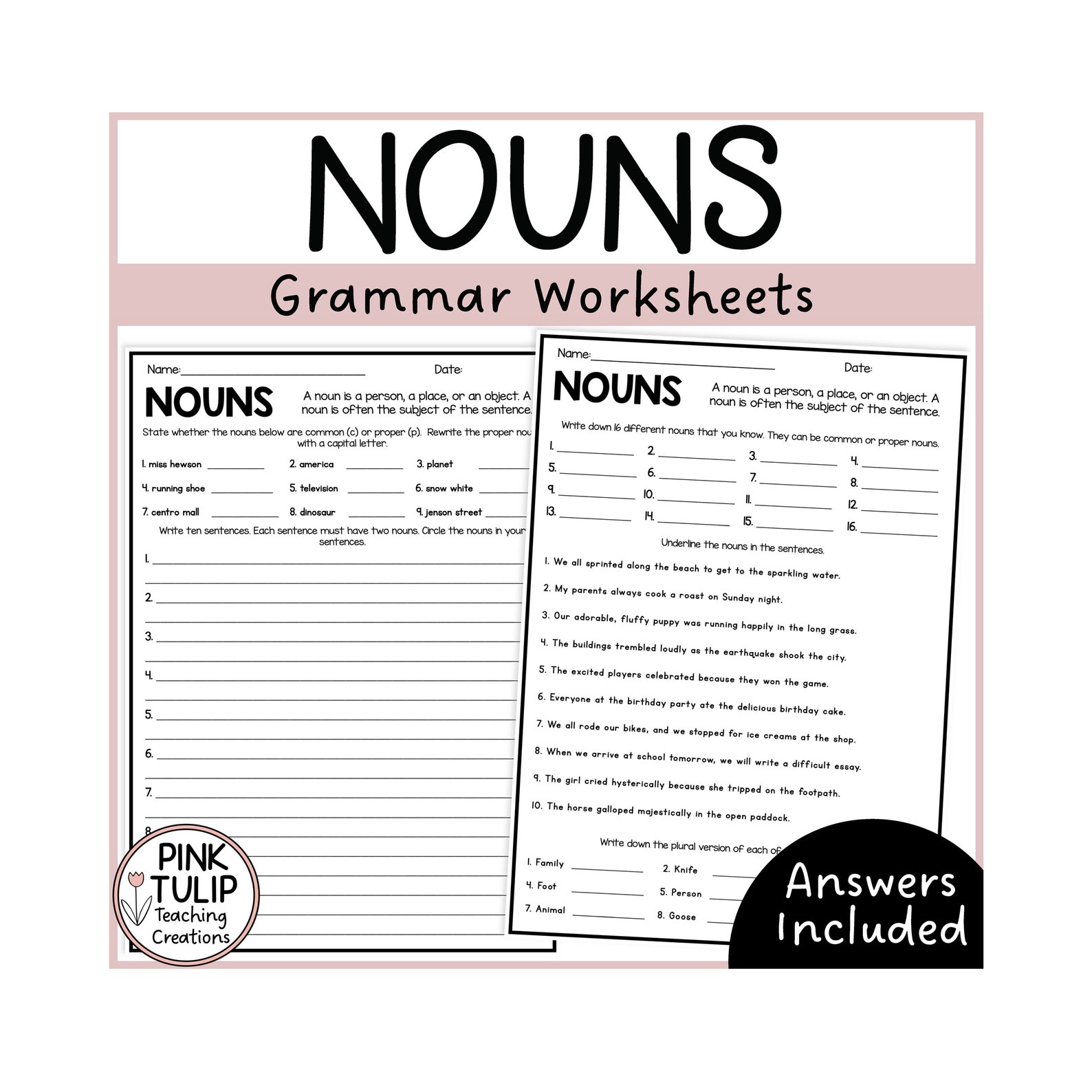 Understanding Nouns Worksheets - No Prep Printables - Etsy