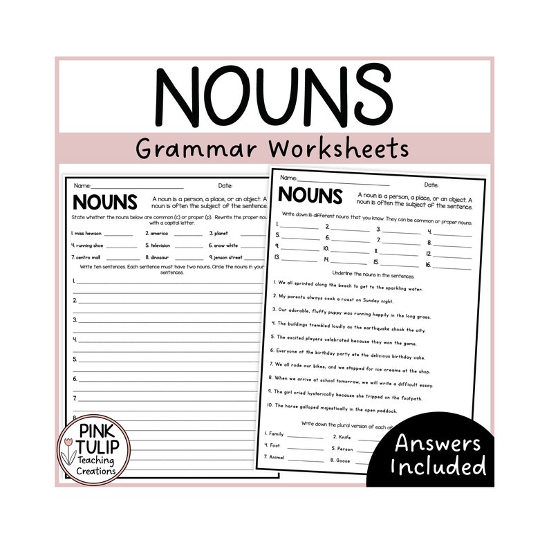 Understanding Nouns Worksheets - No Prep Printables - Etsy