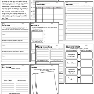 Reading Comprehension - Danny the Dinosaur - Etsy