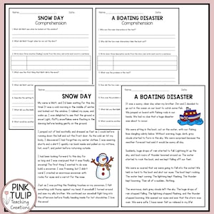 Recount Text Examples - Ten Reading Samples With Comprehension - Etsy