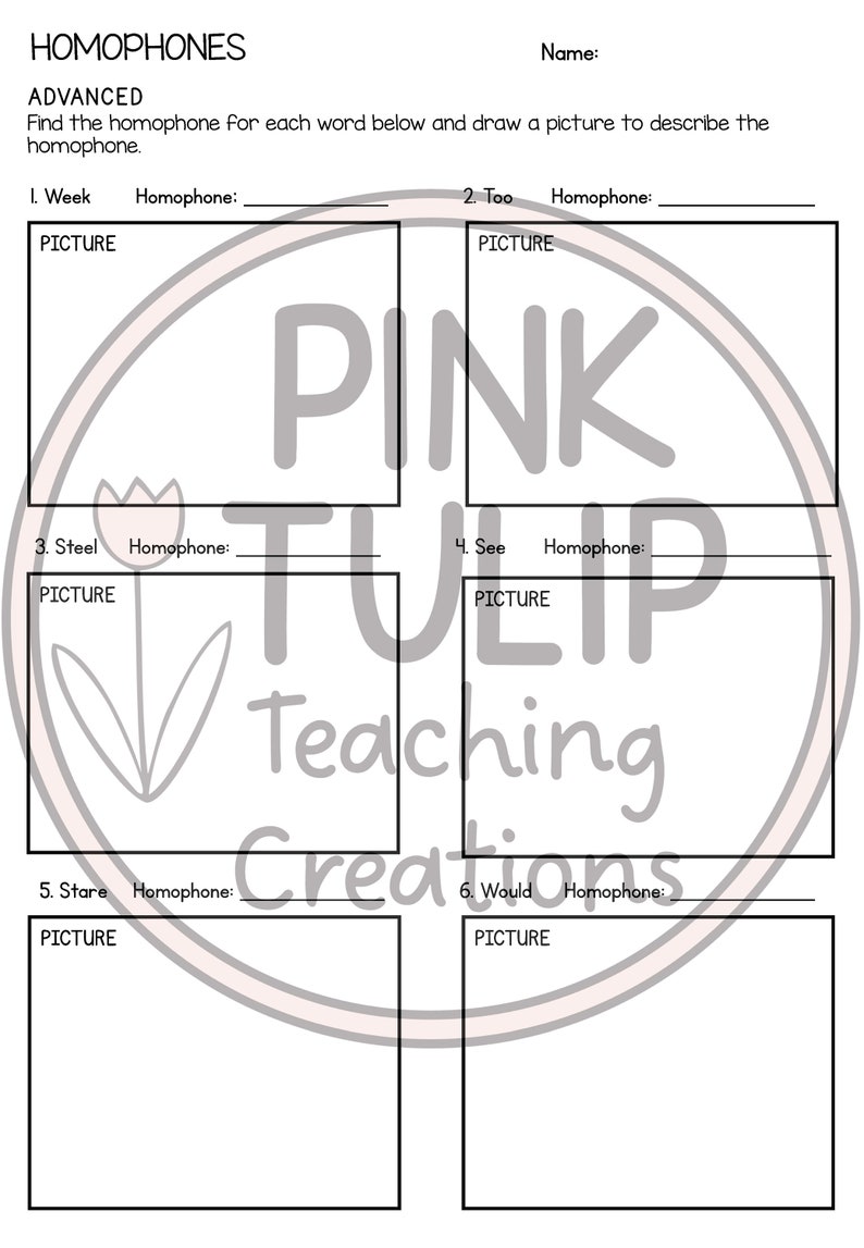 Homophones and Homographs - Grammar Worksheets With Answers - Etsy