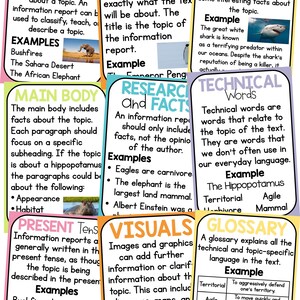 Reading and Writing Text Types - Classroom Poster Bundle - Etsy