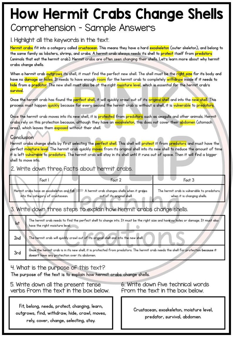 Explanation Text - How Hermit Crabs Change Shells - Etsy