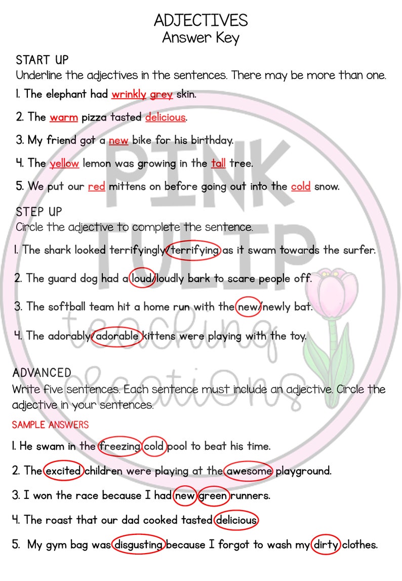 Adjectives and Adverbs Grammar Worksheets With Answers - Etsy