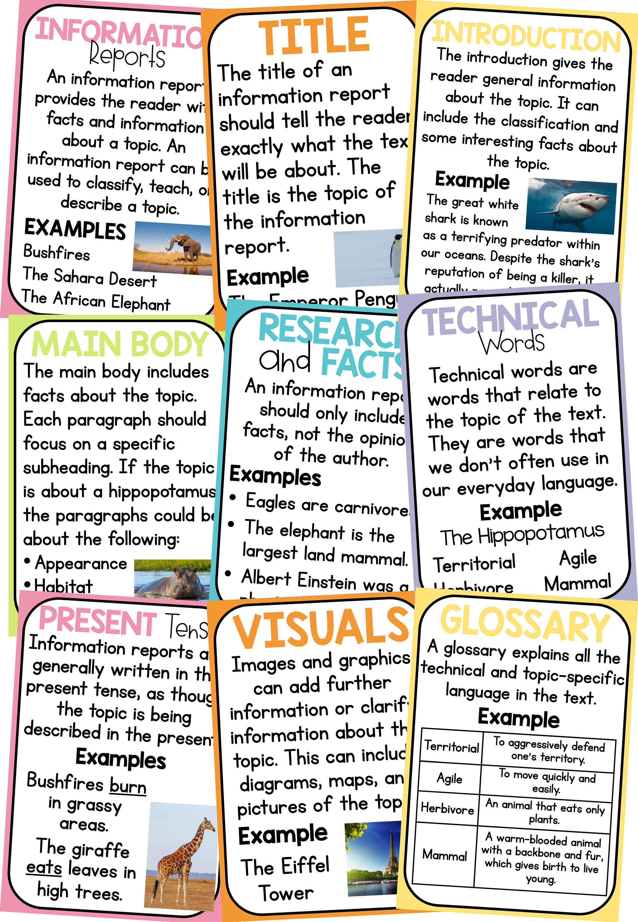 Information Text Posters - Classroom Decor - Etsy