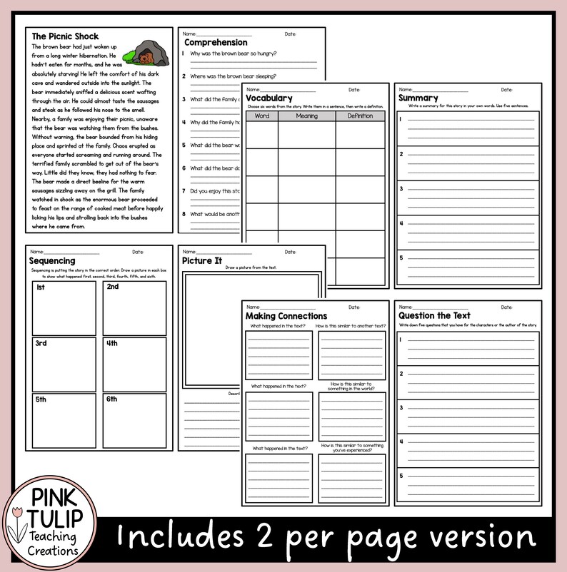 Reading Comprehension - the Picnic Shock - Etsy