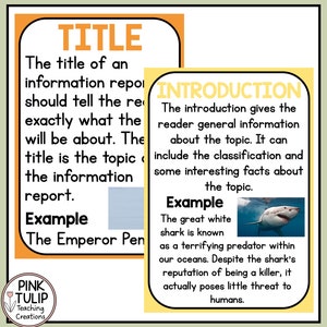 Information Text Posters - Classroom Decor - Etsy
