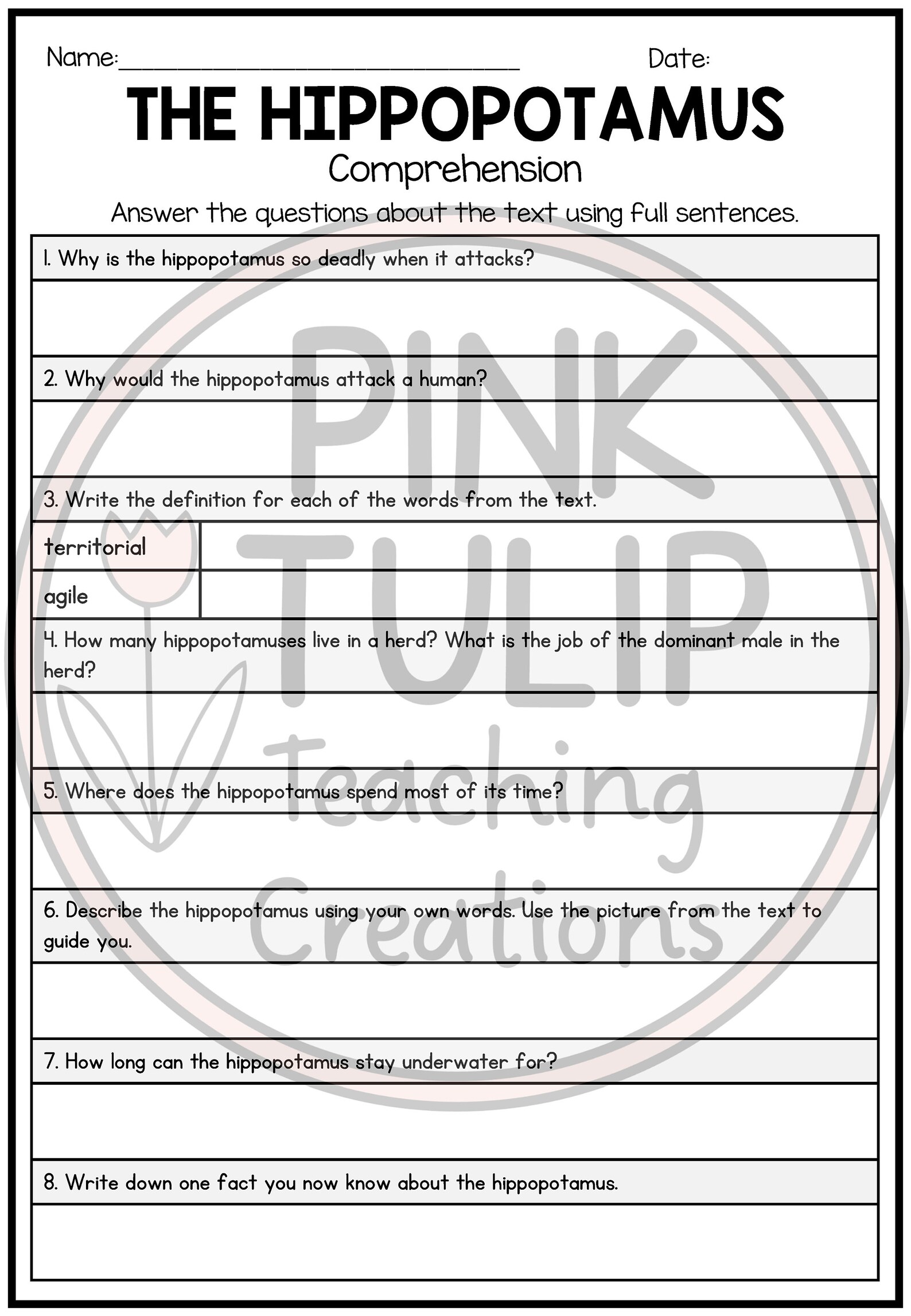 Information Text Examples - Ten Reading Samples With Comprehension - Etsy