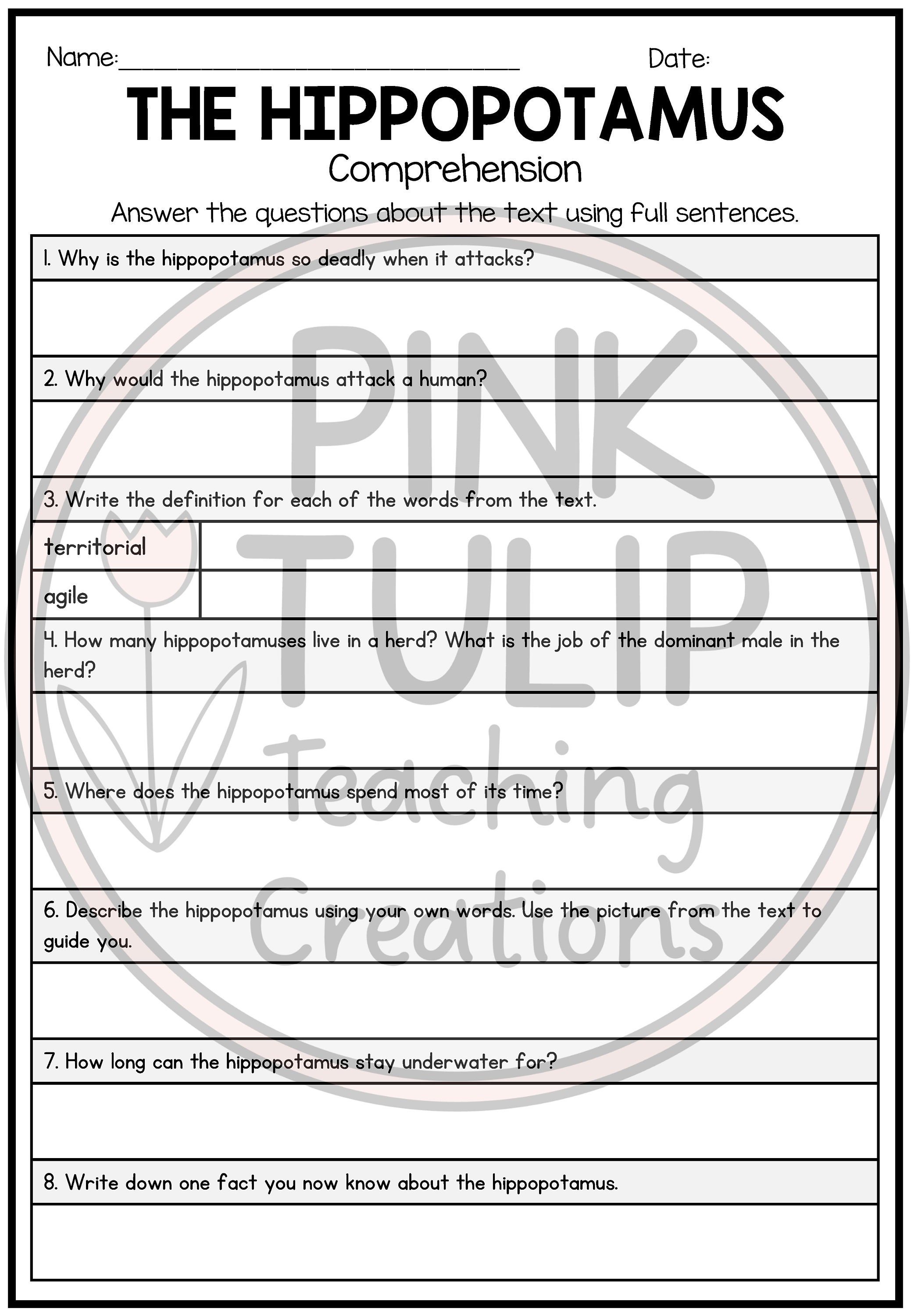 Information Text Examples - Ten Reading Samples With Comprehension - Etsy