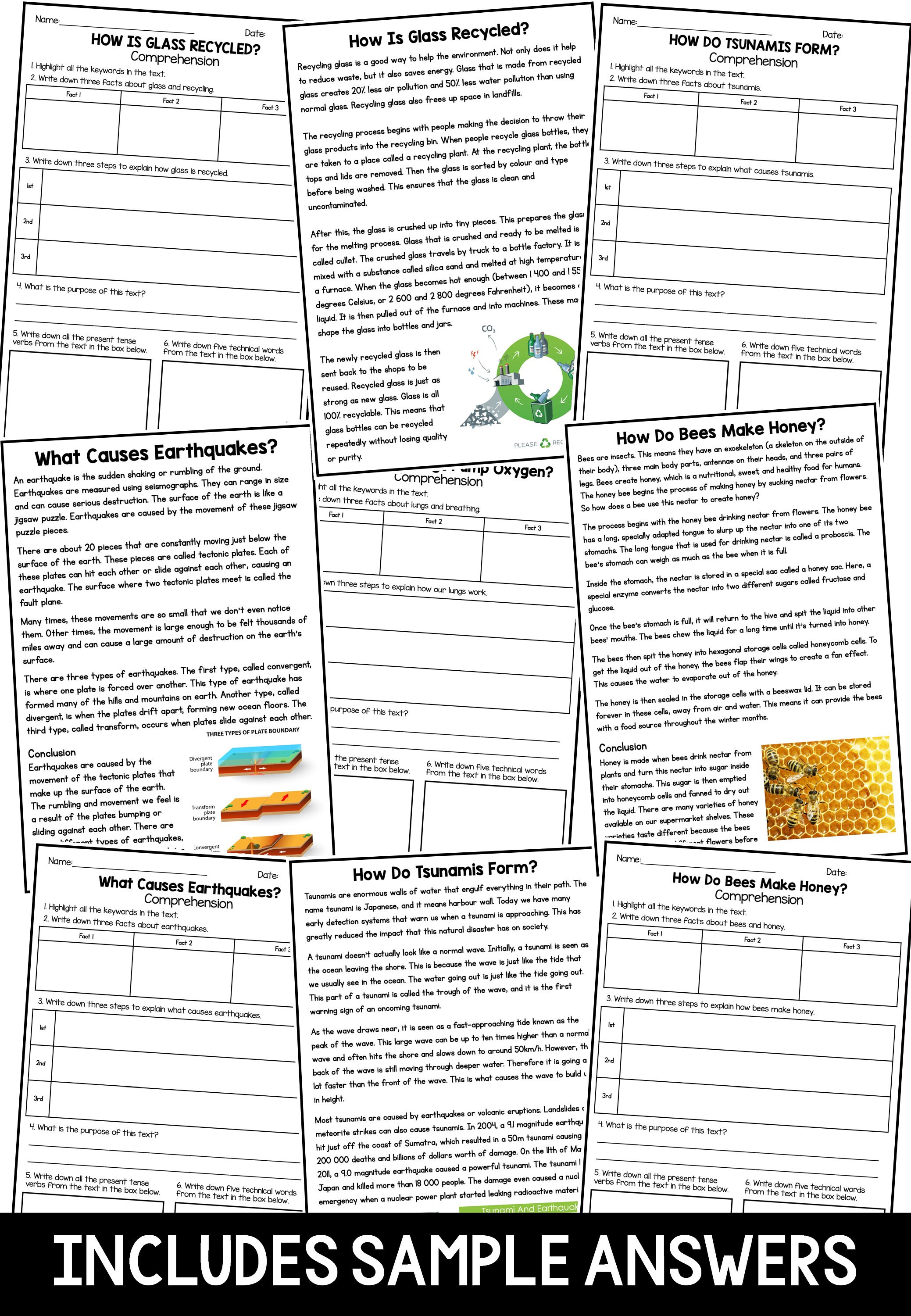 Explanation Text Examples Ten Reading Samples With Comprehension - Etsy