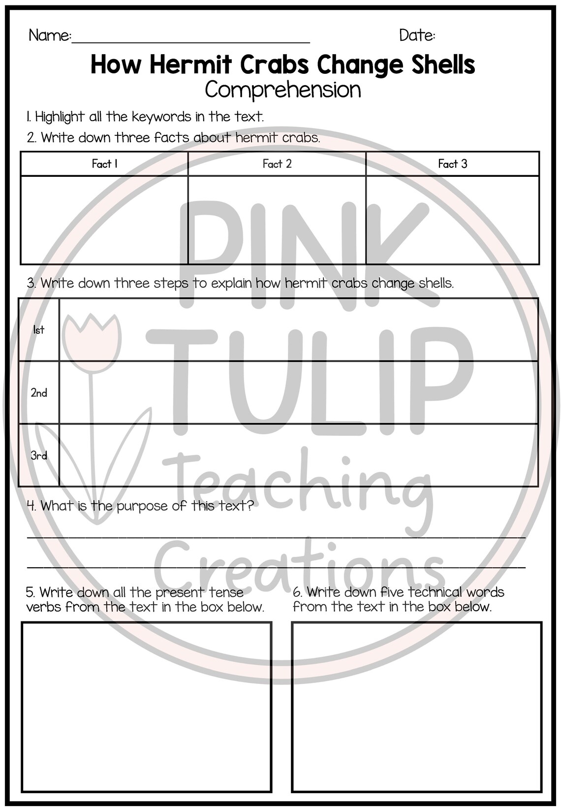 Explanation Text - How Hermit Crabs Change Shells - Etsy