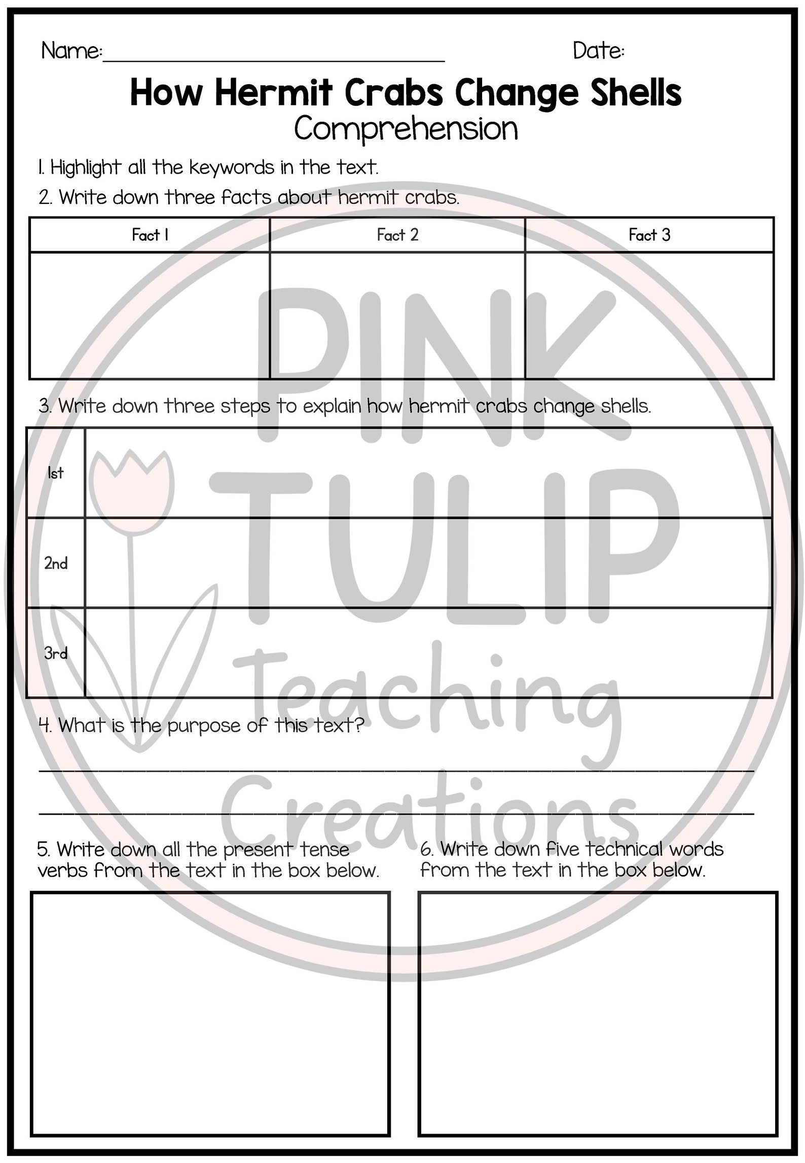 Explanation Text - How Hermit Crabs Change Shells - Etsy