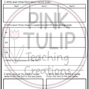 Explanation Text - How Hermit Crabs Change Shells - Etsy