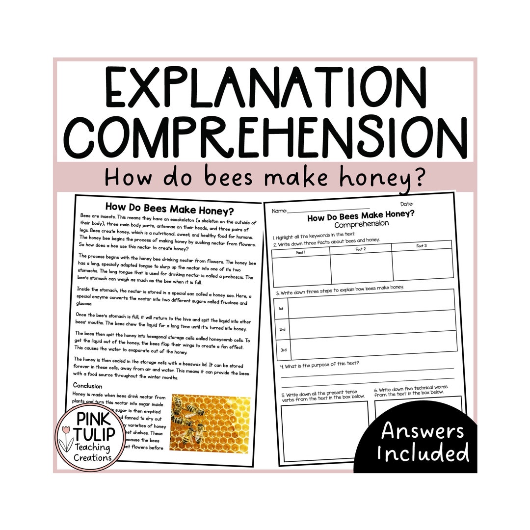 Explanation Text - How Do Bees Make Honey? - Etsy