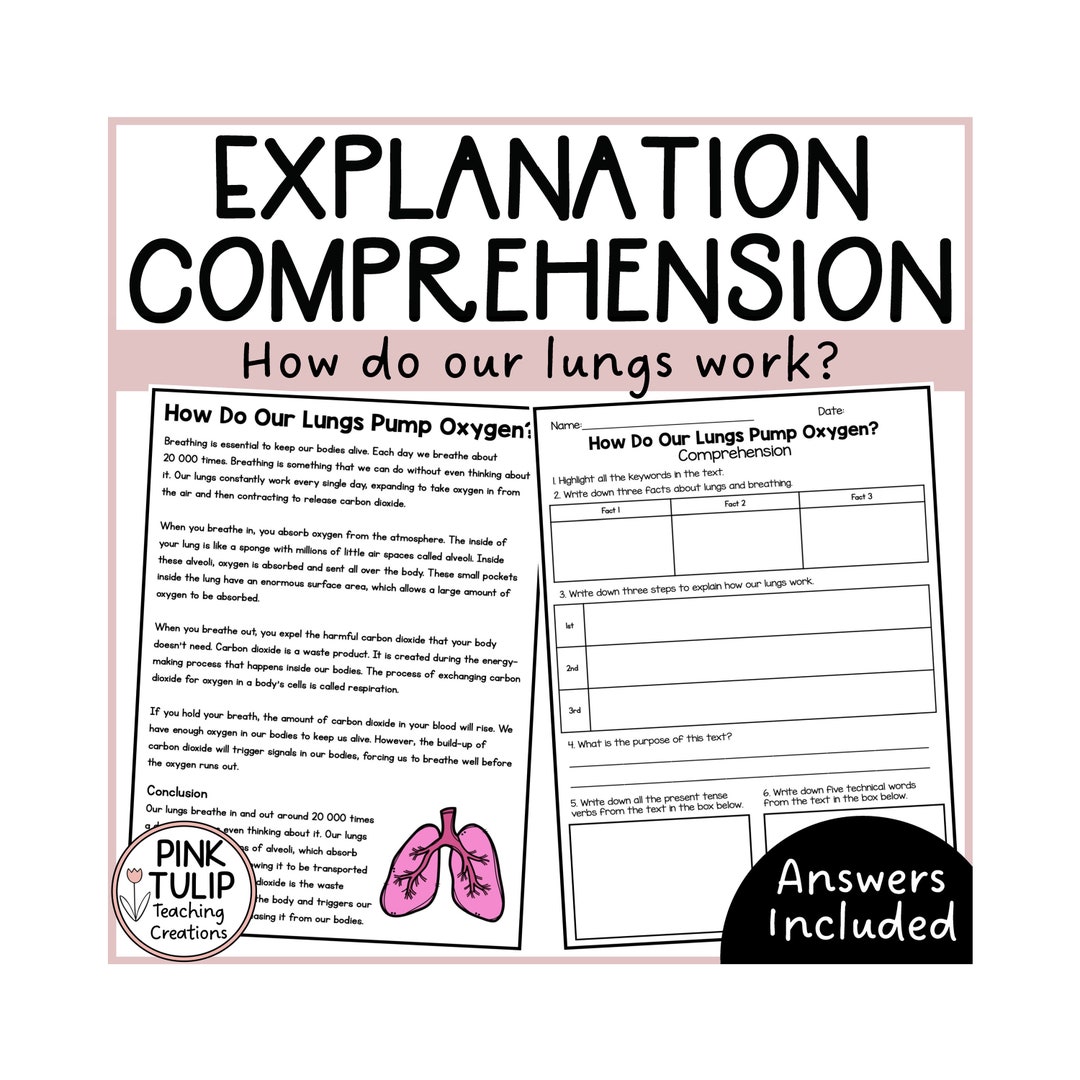 Explanation Text How Do Our Lungs Work - Etsy