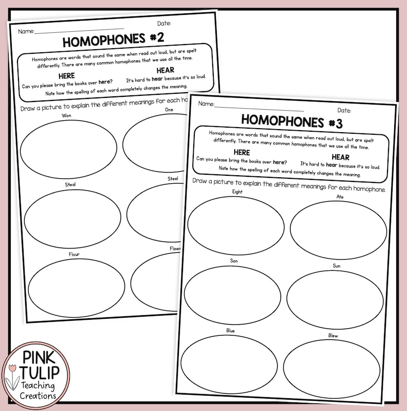 Homophones - Worksheet Pack With Answers - Etsy