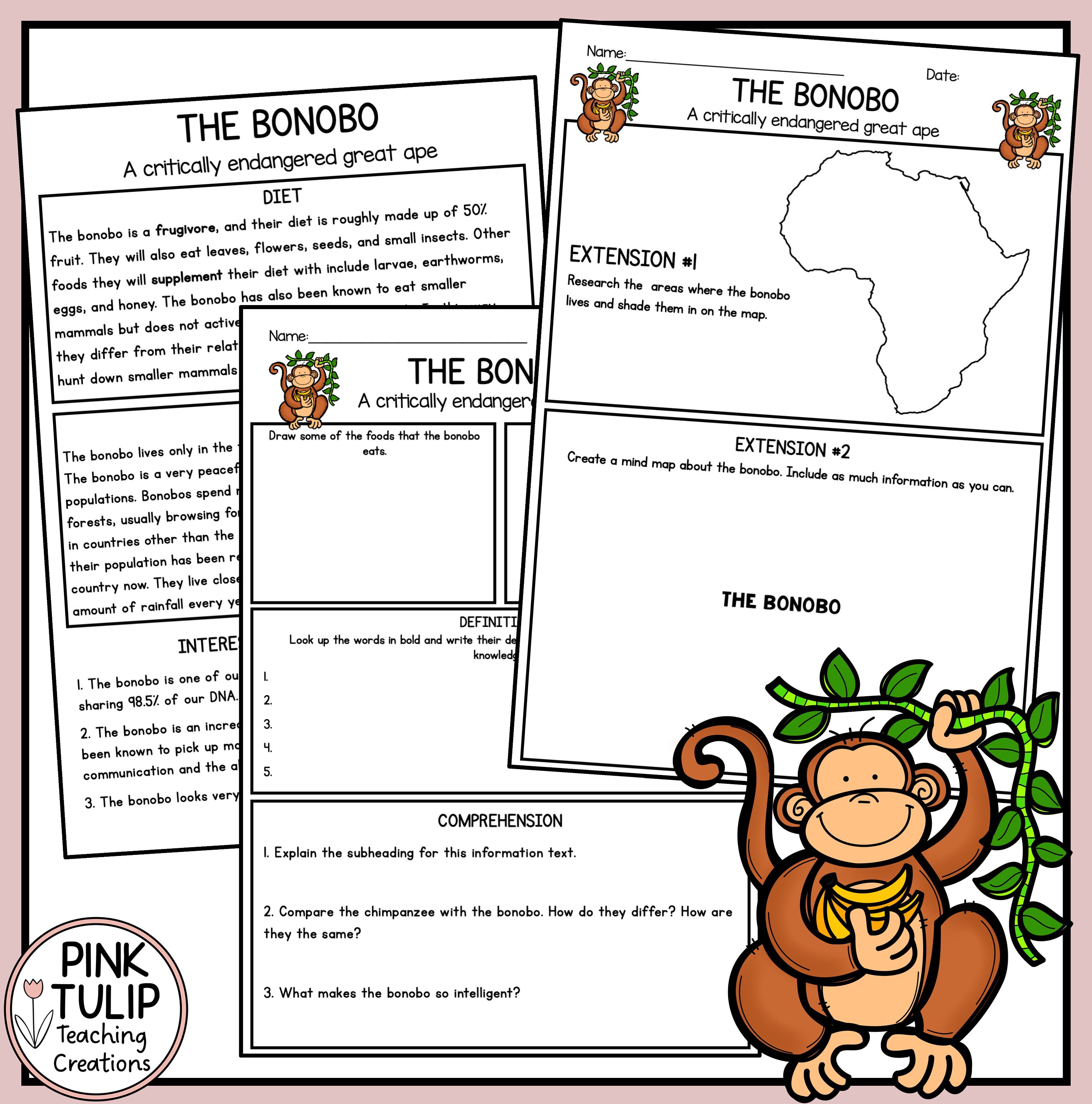 African Animals Reading Comprehension Pack - Etsy