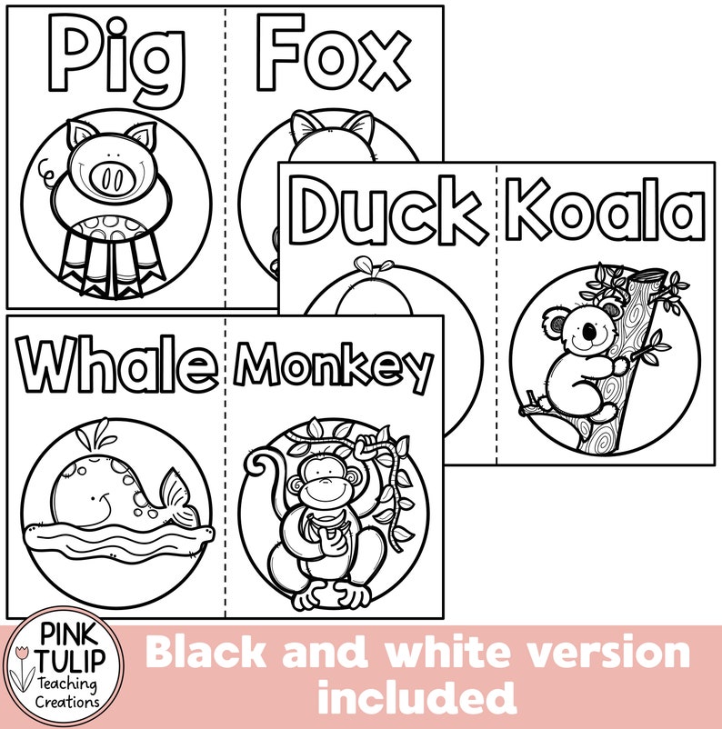 Animal Flash Cards Pastel Rainbow Theme - Etsy