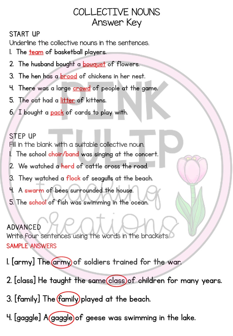 Irregular Plurals and Collective Nouns Grammar Worksheets - Etsy