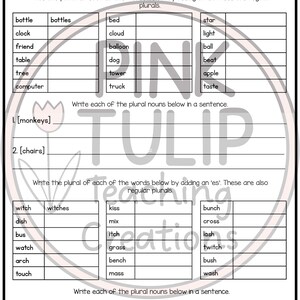 Plural Nouns Worksheets - No Prep Printables - Etsy