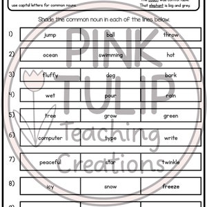 Common Nouns Worksheet Pack - No Prep Printables With Answers - Etsy